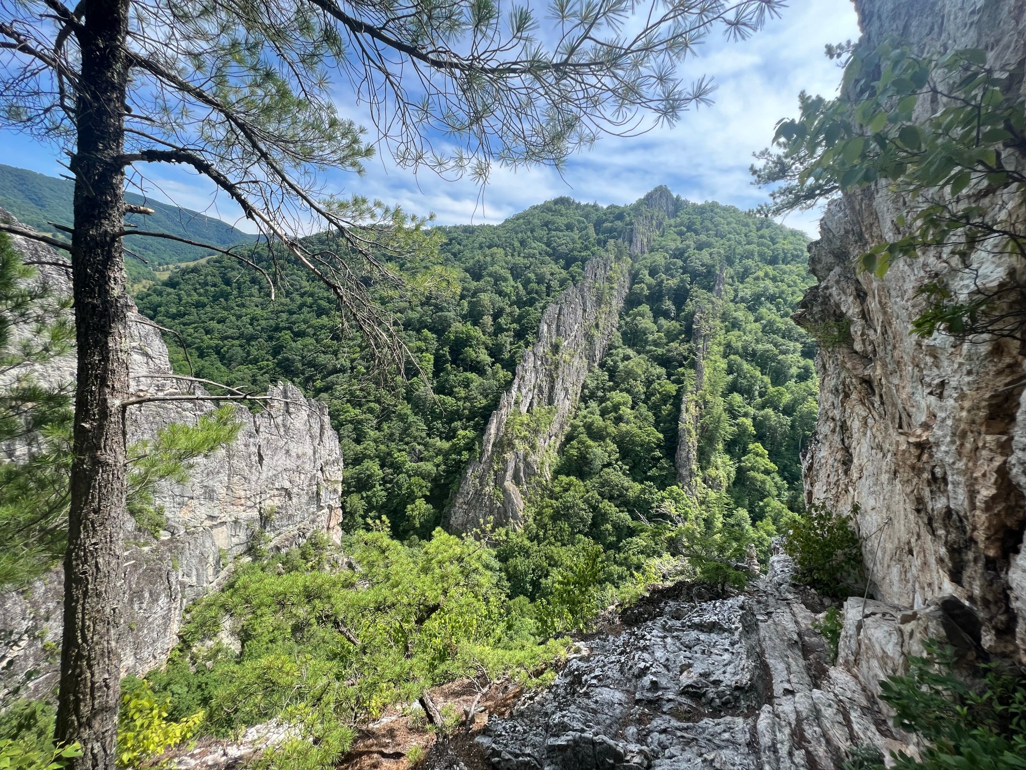 Everything you need to know to experience NROCKS Via Ferrata – SEE WV