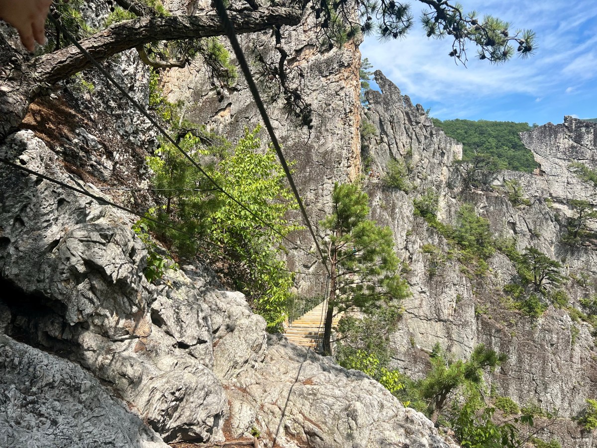 Everything you need to know to experience NROCKS Via Ferrata – SEE WV