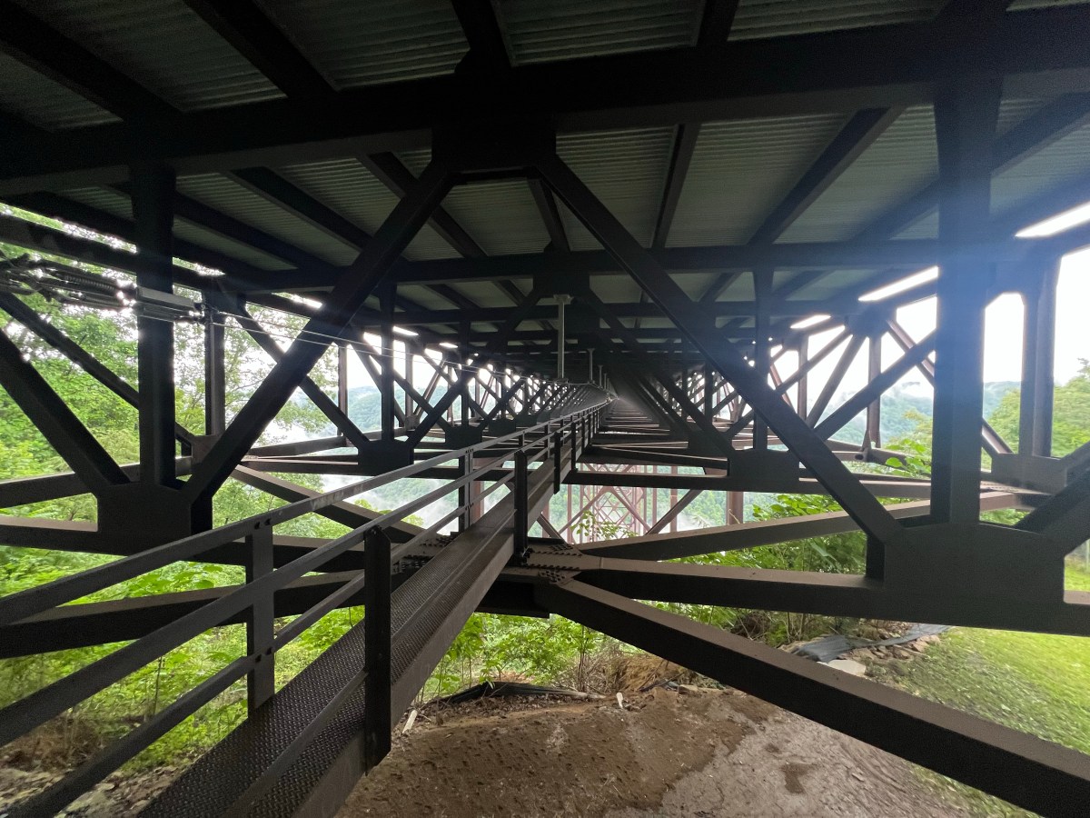 Everything you need to know to experience the bridge walk at New River ...